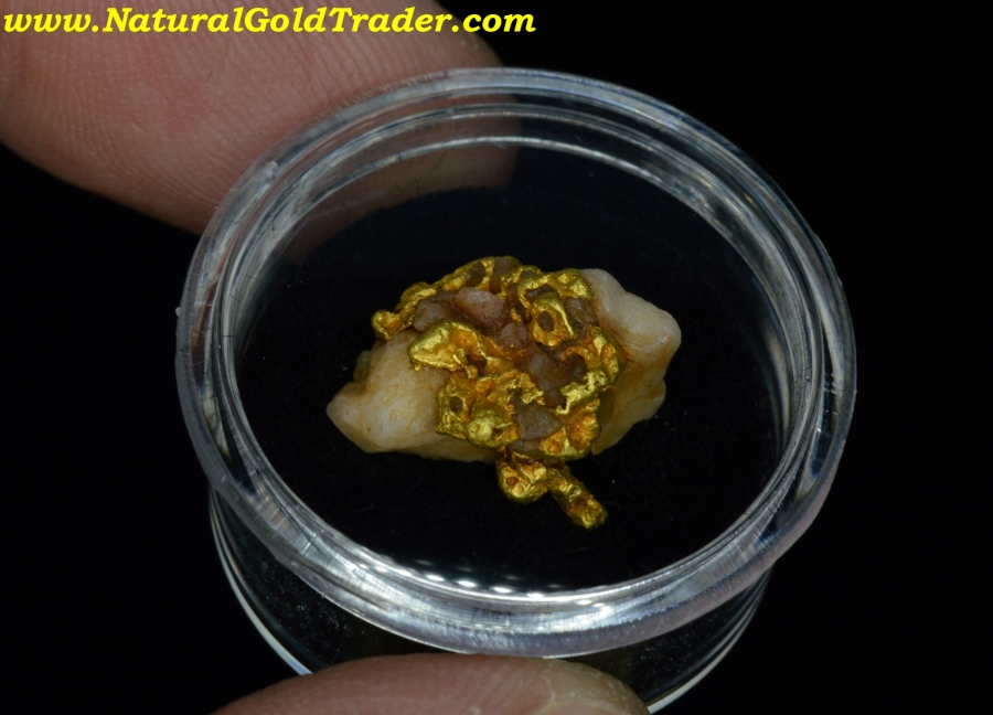 4.05 Gram Australia Gold & Quartz Specimen