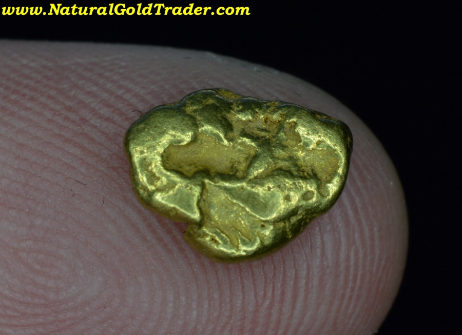 2.31 Gram Cripple Creek Colorado Gold Nugget