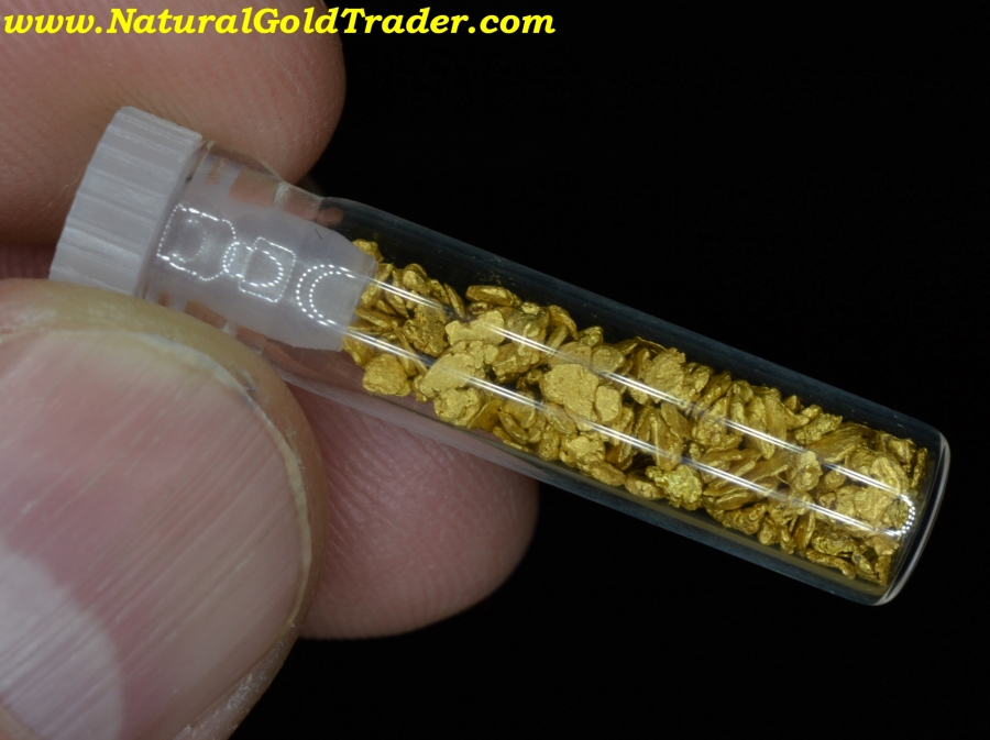 2.91 Gms Feather River California Gold Pickers