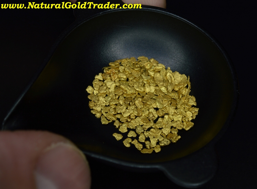 1.80 Grams of North Carolina Placer Gold