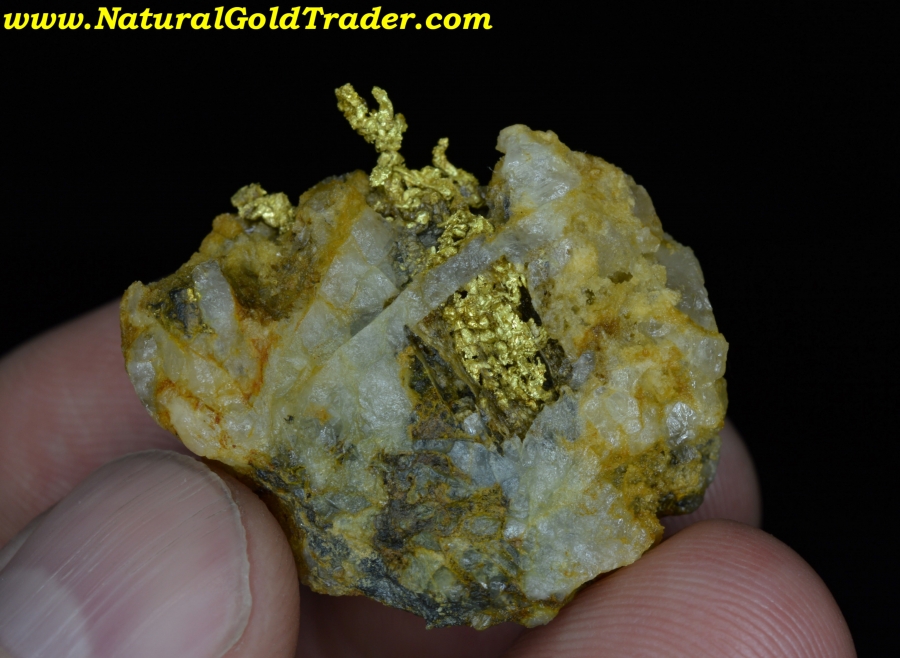 14.20 Gram Belshazzar Mine Idaho Gold Specimen