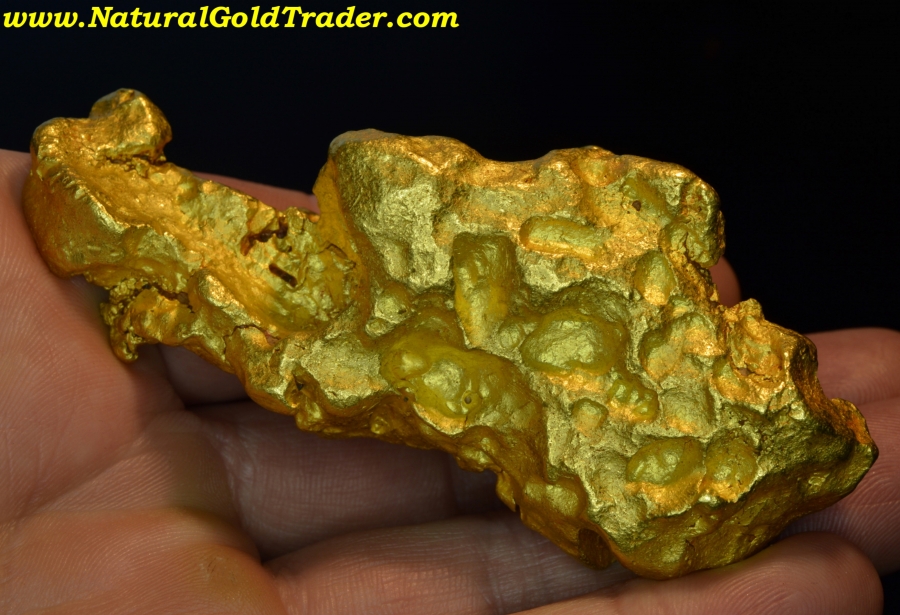 604.3 Gram Massive Victoria Australia Gold Nugget