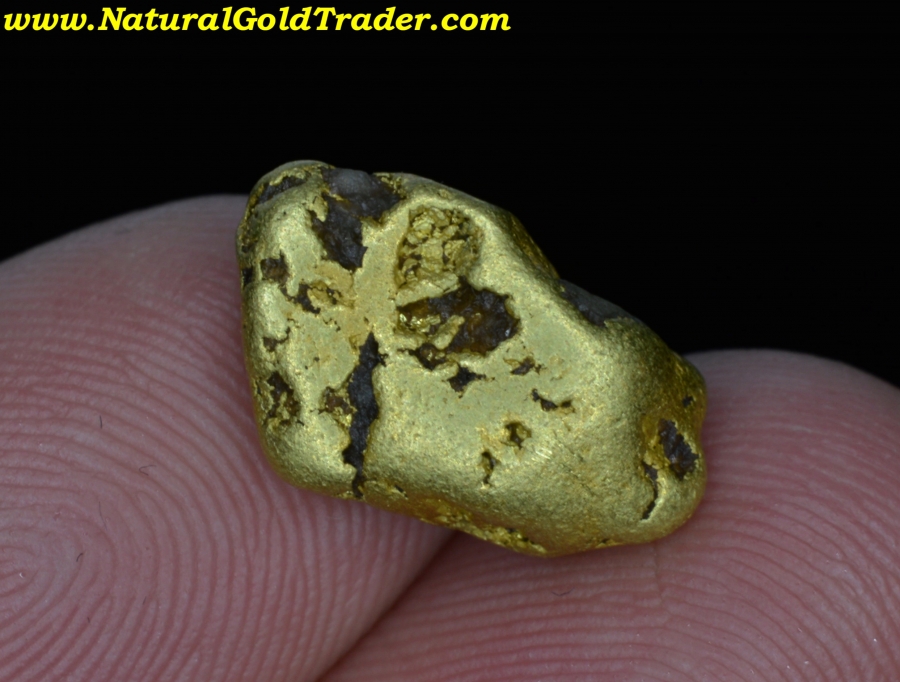 7.32 Gram Yukon Canada Gold Nugget