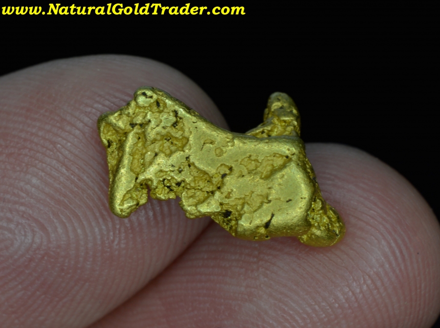 4.27 Gram Yukon Canada Gold Nugget