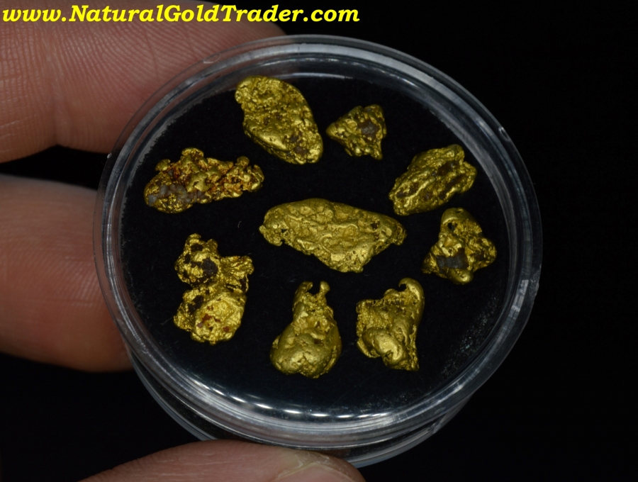 15.26 Grams (9) Canada Placer Gold Nuggets