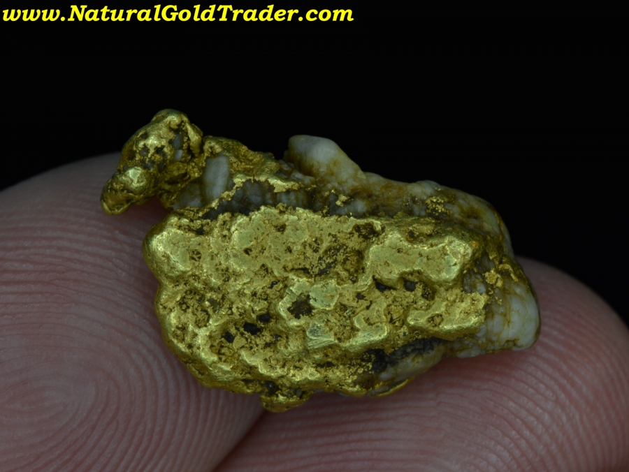 5.68 Gram Yukon Canada Gold Nugget with Quartz