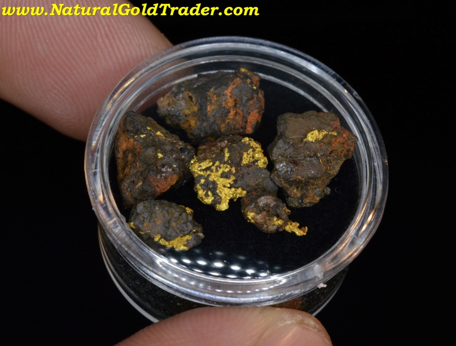 3.81 Grams (6) Australia Gold & Hematite Specimens