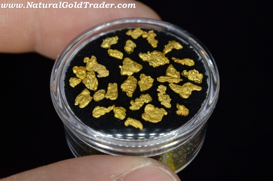 1.80 Grams (30) California Gold Pickers/Nuggets