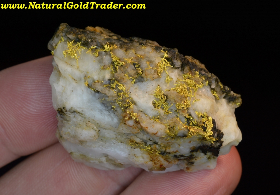 30.44 Gram Canyon City Oregon Dendrite Gold Specimen