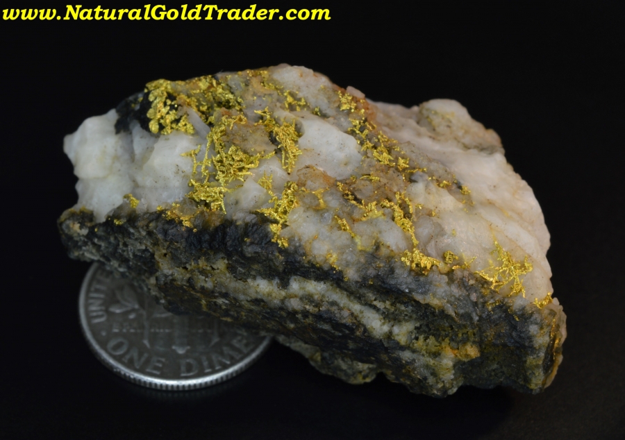 30.44 Gram Canyon City Oregon Dendrite Gold Specimen