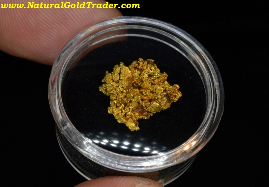 3.87 Gram Ibex Mine Colorado Crystalline Gold Specimen