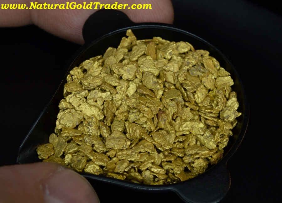 31.29 Grams 10-12 Mesh Idaho Placer Gold Flakes