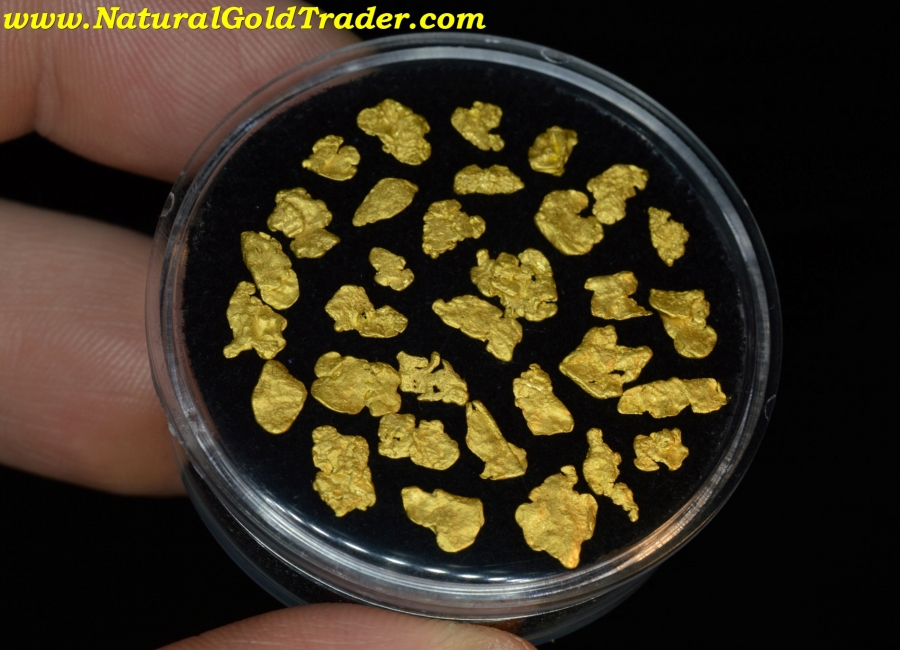 3.28 Grams (32) Pine Creek Oregon Placer Gold Nuggets