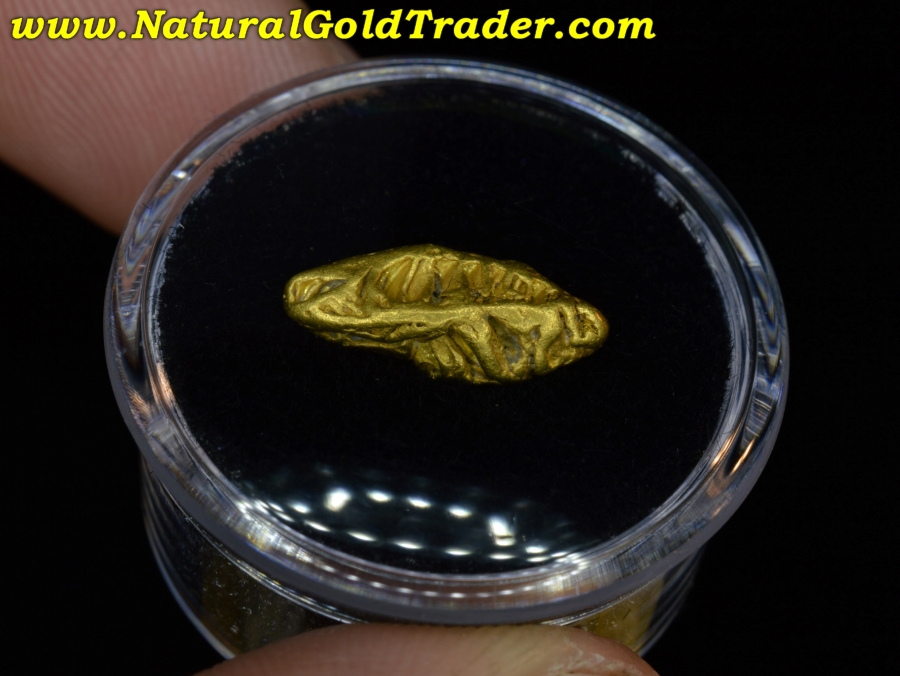 2.18 Gram Rye-Patch Nevada Gold Nugget Specimen