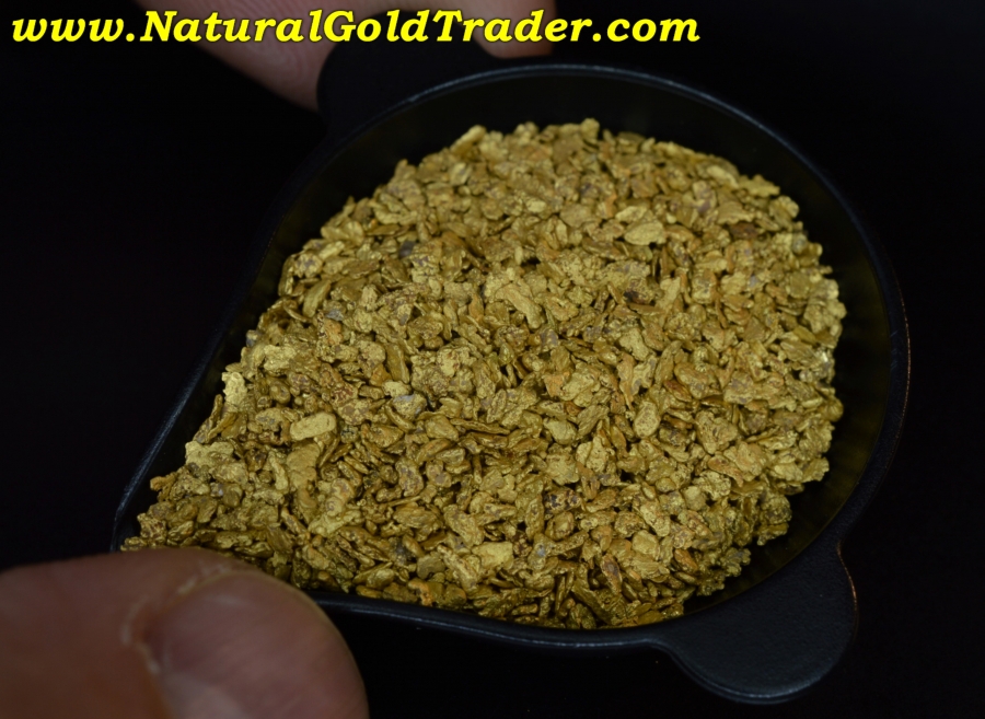 1 Ozt. 31.1 Grams of #18 Mesh Montana Placer Gold Flakes