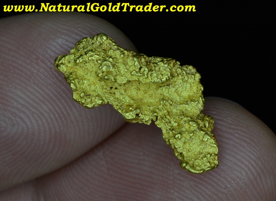 2.81 Gram Park County Colorado Gold Nugget