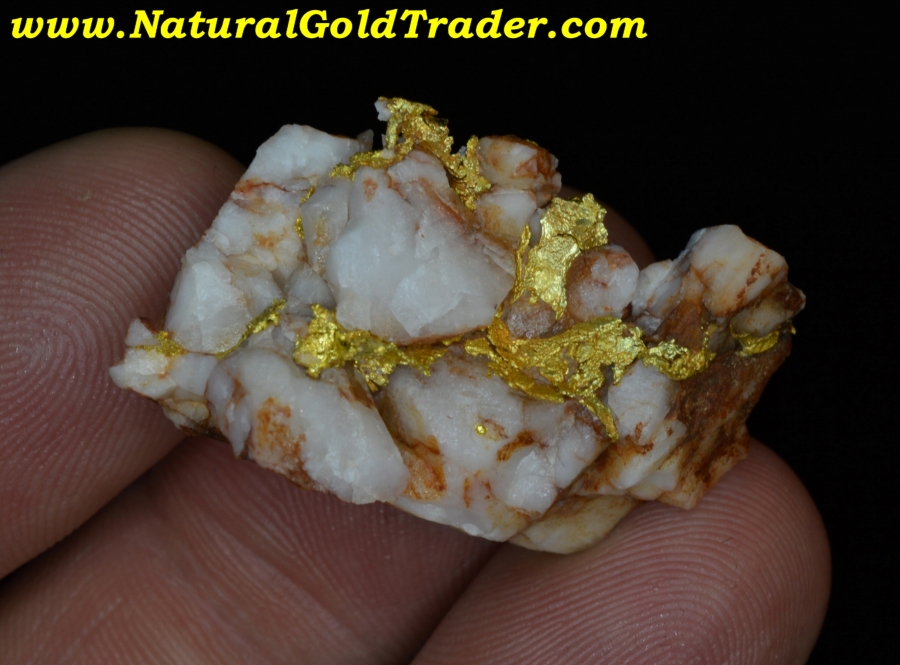 12.95 Gram El Dorado California Gold & Quartz!