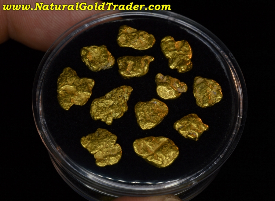 10.50 Grams (12) Yuba River California Gold Nuggets