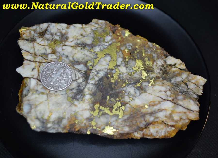 303.80 Gram Nevada Gold & Quartz Slabbed Specimen