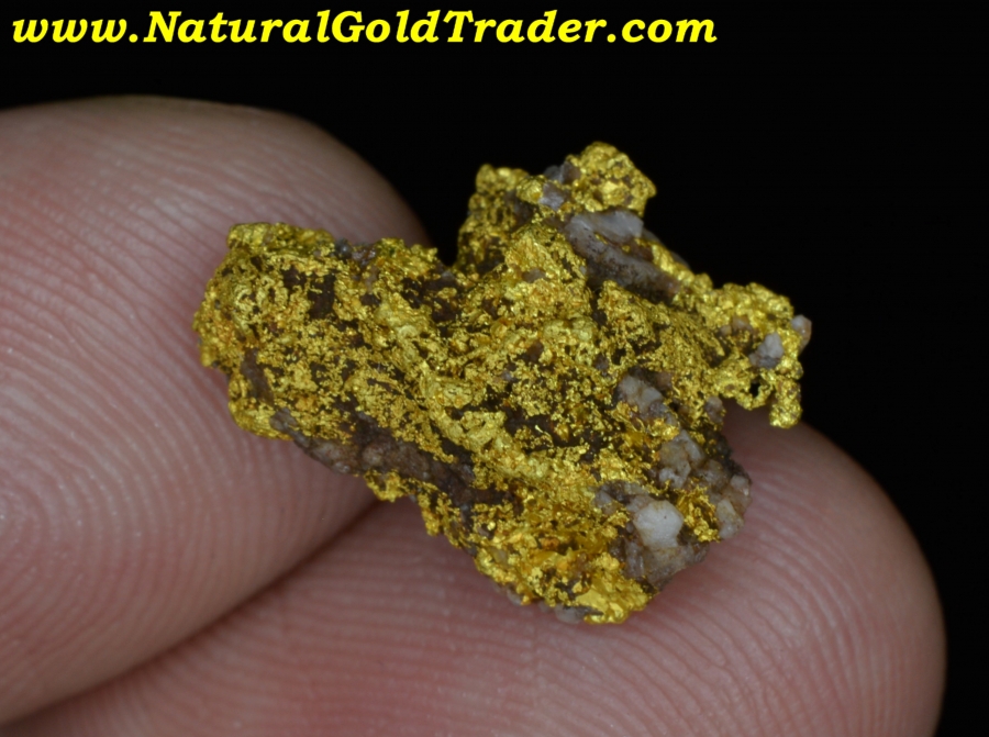 4.40 Gram Coloma California Coarse Gold Specimen
