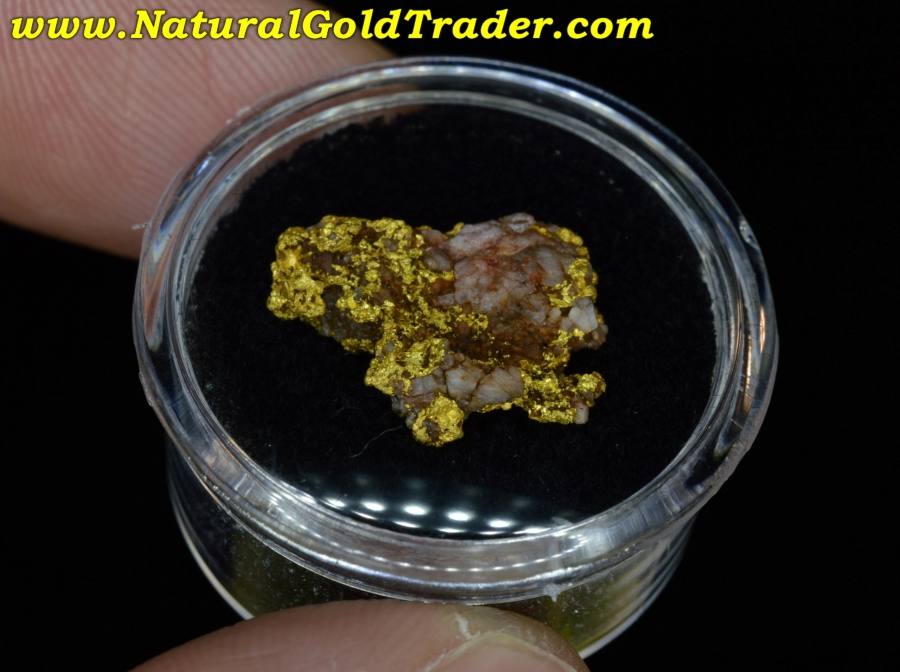 4.40 Gram Coloma California Coarse Gold Specimen