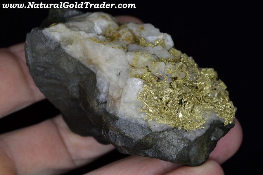 158.8 Gram Idaho Gold & Quartz Specimen