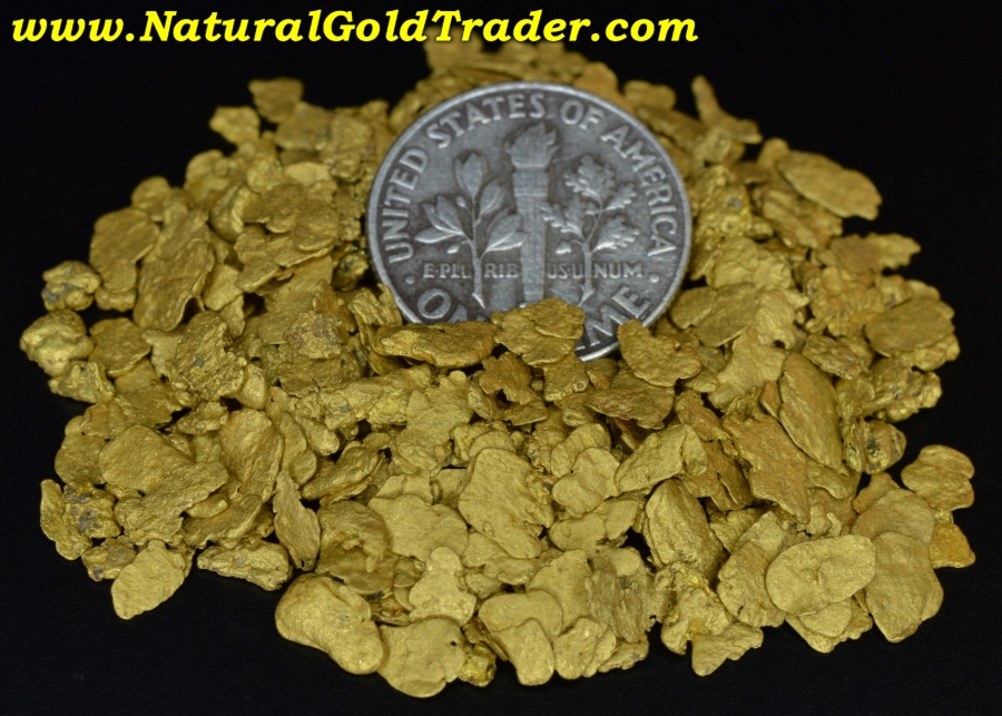 1 Ozt. 31.1 Grams of Idaho Panhandle Gold Flakes