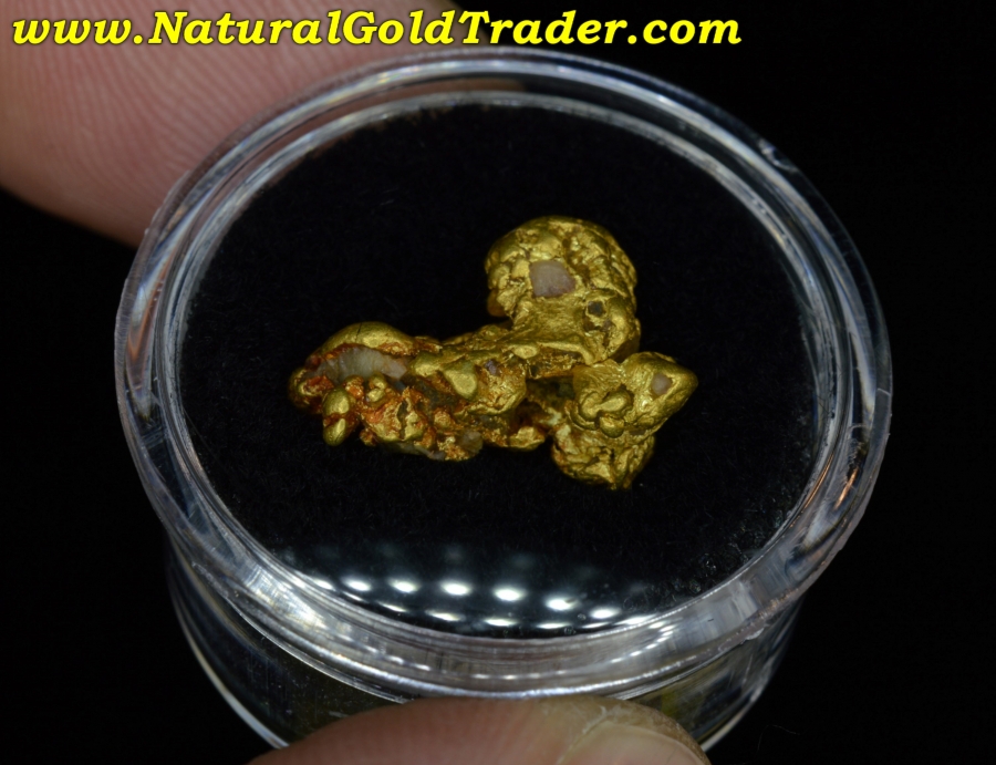 4.05 Gram Murray Idaho Gold Specimen with Quartz