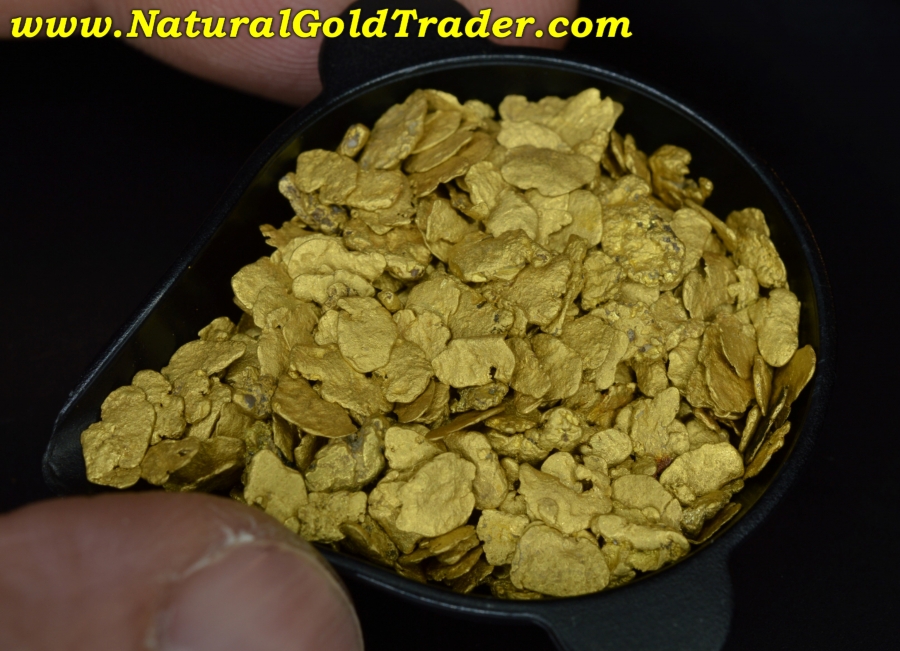 31.10 Grams Natural Alaskan Large Gold Flakes