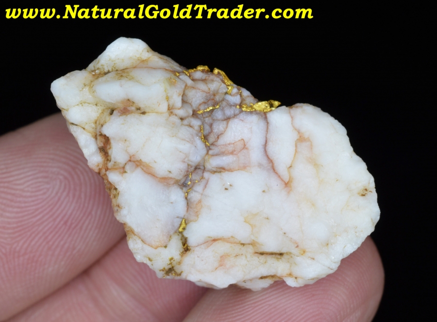 15.13 Gram El Dorado California Gold & Quartz Specimen
