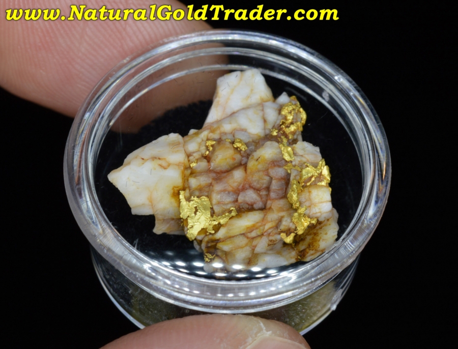 7.74 Gram Latrobe California Gold & Quartz Specimen