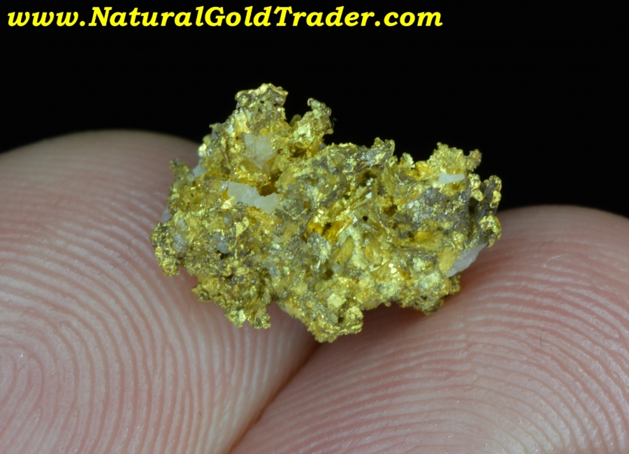 1.69 Gram Latrobe California Crystalline Gold Specimen