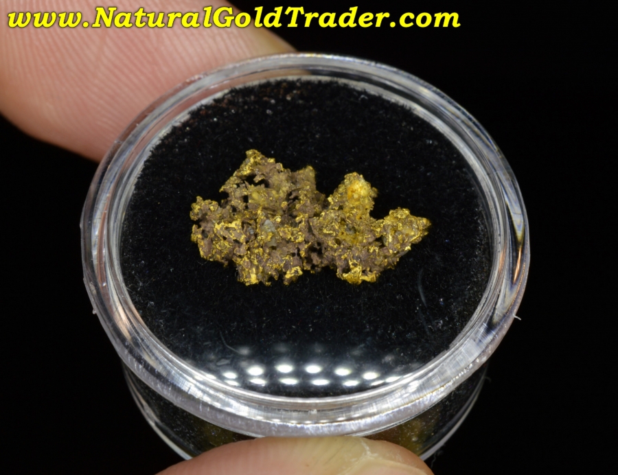 1.70 Gram Latrobe California Gold Specimen