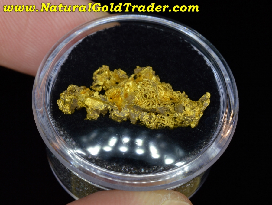 3.08 Gram Latrobe California Crystallized Gold Specimen