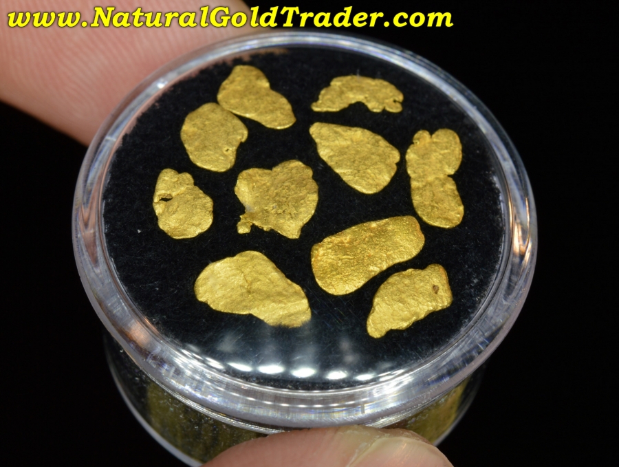1.44 Grams (10) Large Alaskan Gold Flakes