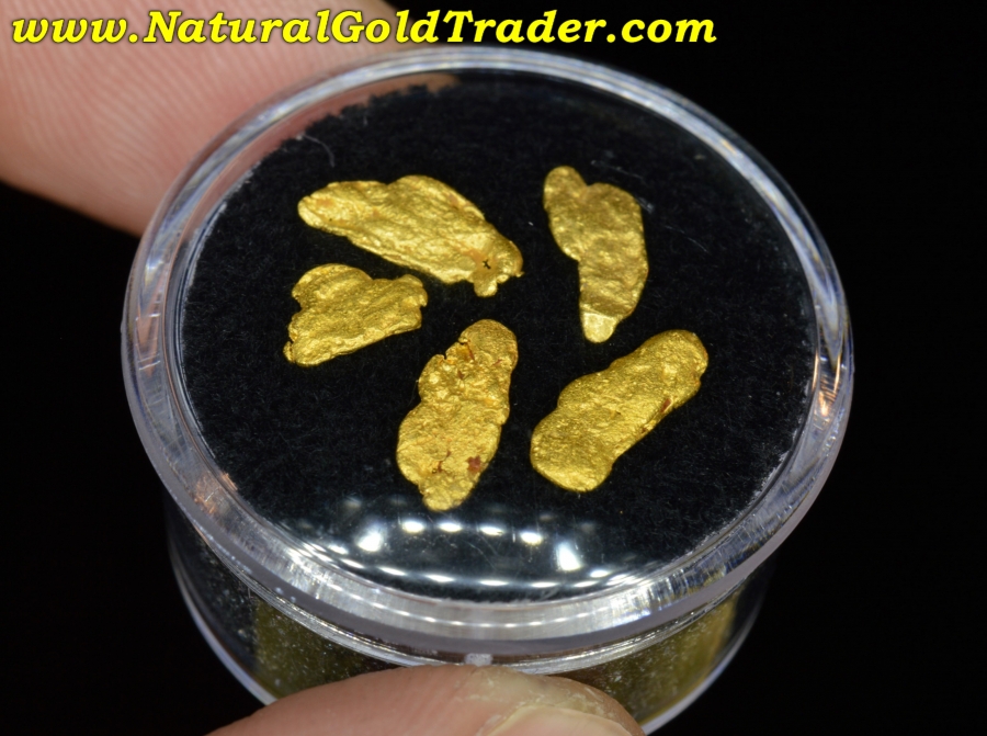 1.48 Grams (5) Large Alaskan Placer Gold Flakes