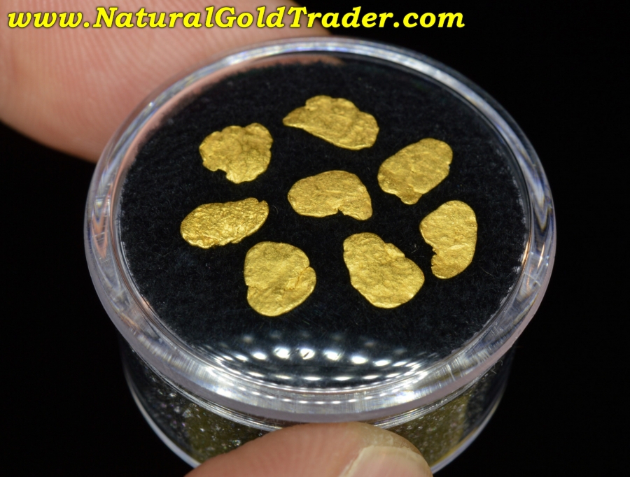 .83 Grams (8) Alaskan Large Placer Gold Flakes