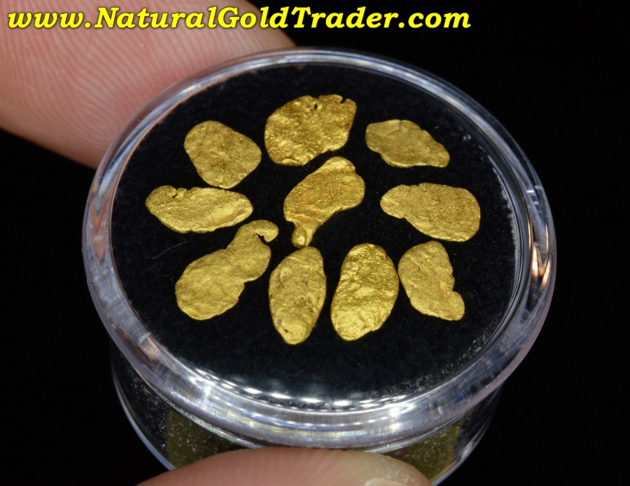 1.60 Grams (10) Large Alaskan Gold Flakes