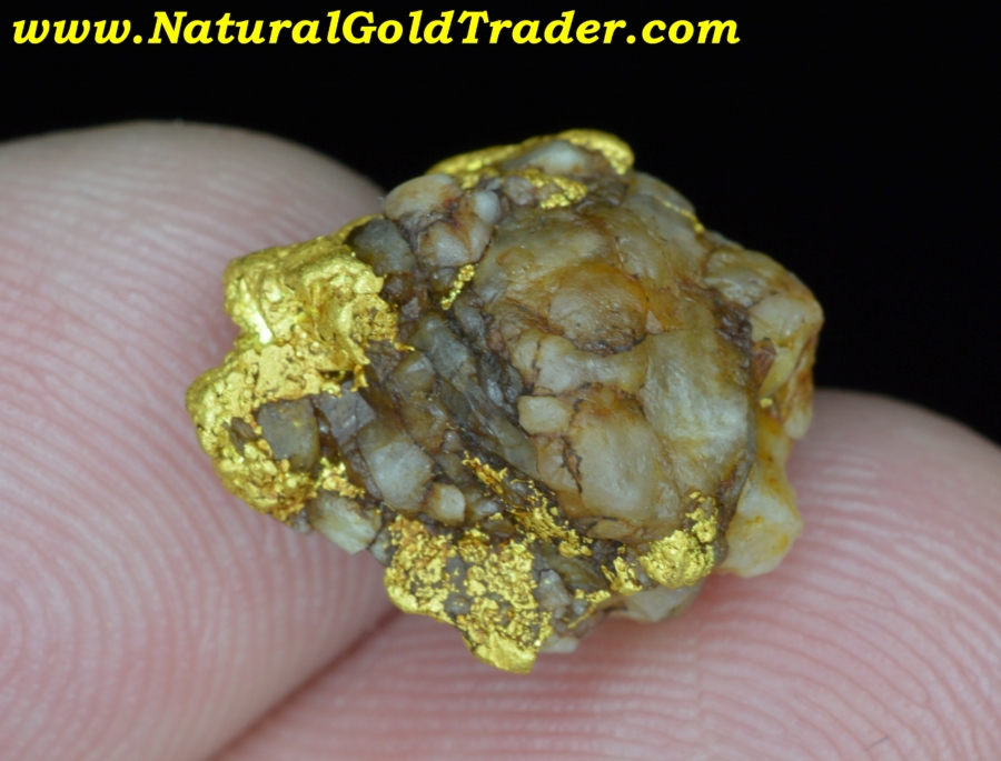 5.82 Gram Northern Nevada Gold & Quartz Specimen