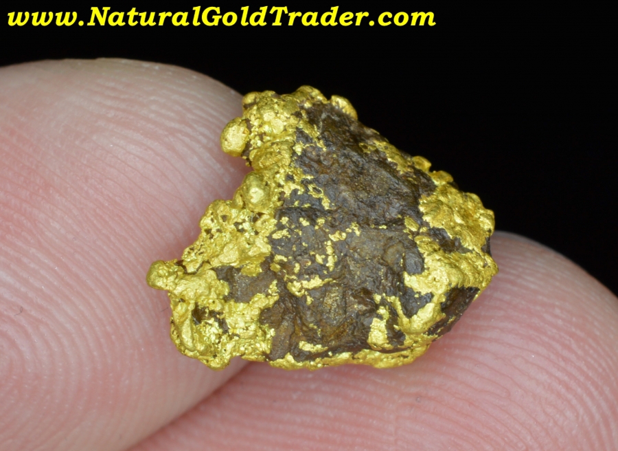 4.81 Gram Northern Nevada Natural Gold Nugget