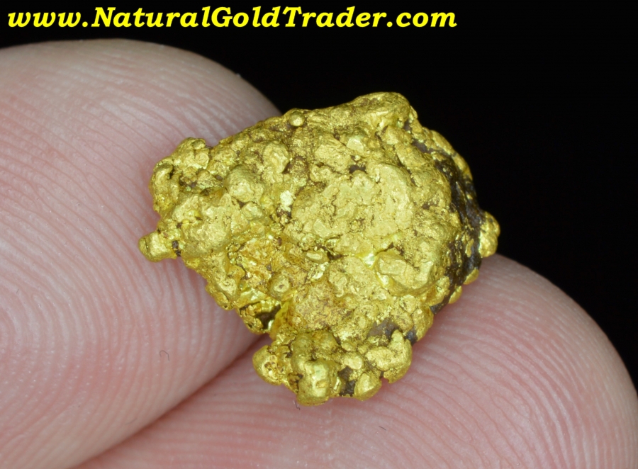 4.81 Gram Northern Nevada Natural Gold Nugget