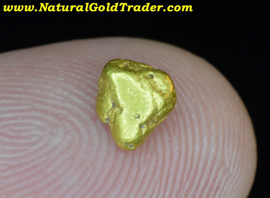 .82 Gram El Dorado California Solid Gold Nugget