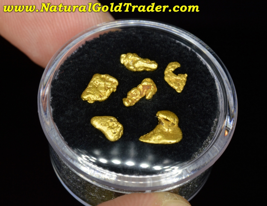 1.58 Grams (6) El Dorado California Gold Nuggets