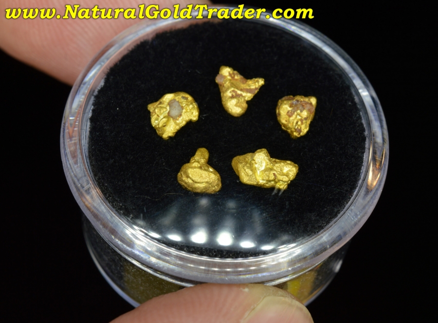 1.84 Grams (5) Northern Nevada Chunky Gold Nuggets