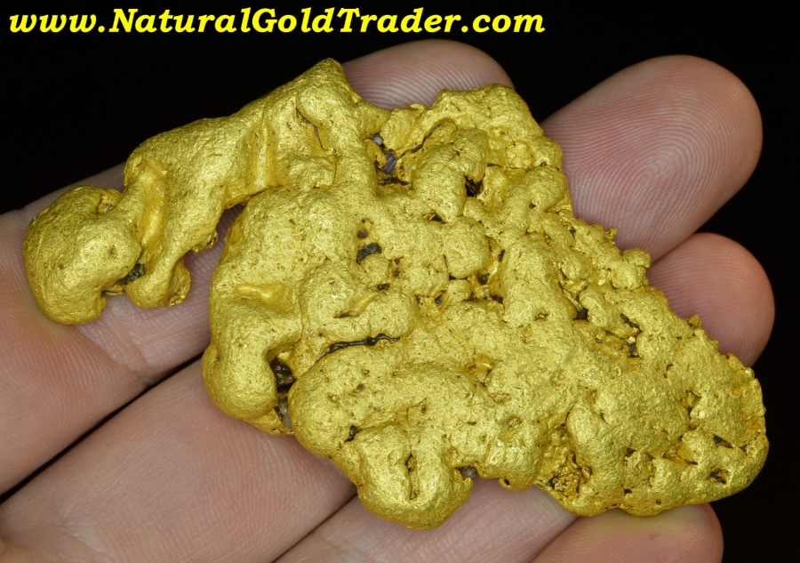 176.9 Gram El Carrizo Sonora Mexico Gold Nugget