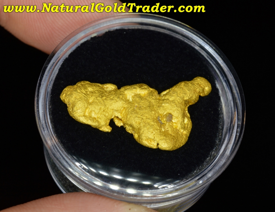 12.51 Gram Quitovac Sonora Mexico Gold Nugget