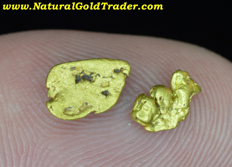 .96 Grams (2) Sonora Mexico Natural Gold Nuggets