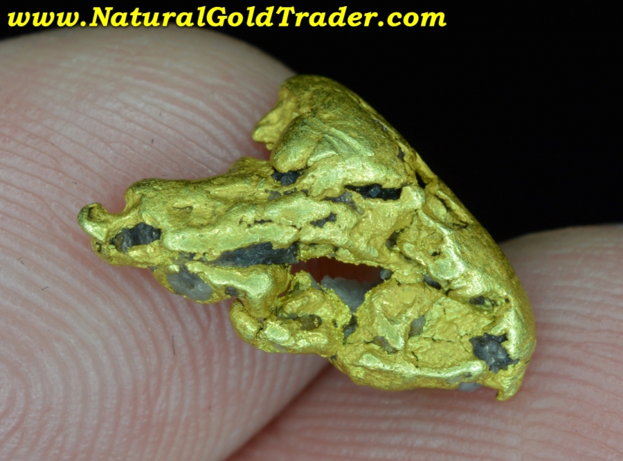 2.32 Gram Alaskan Crystallized Gold Specimen