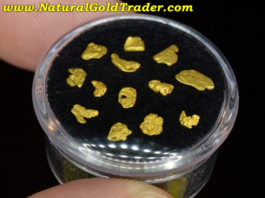 .78 Grams (13) Placer County California Gold Nuggets
