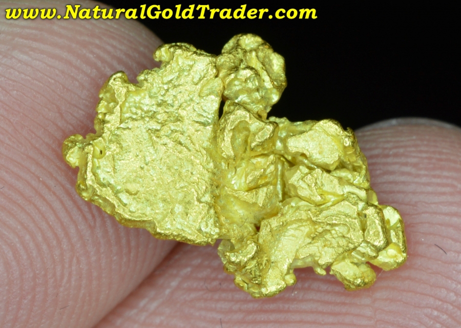 2.16 Gram Eugene Mountains Nevada Gold Nugget Specimen